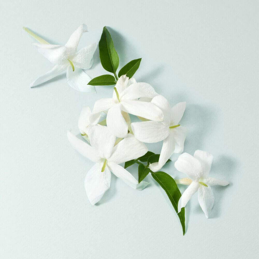 A Guide to the Best Floral Fragrances in Spring | Armani beauty