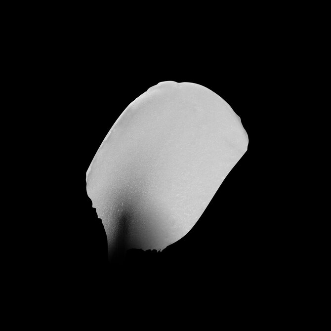 How to Reduce Dark Circles and Firm Eye Contours | Armani beauty®