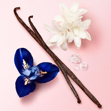 Fragrance & Perfume Refills - Shop Now | Armani beauty Australia